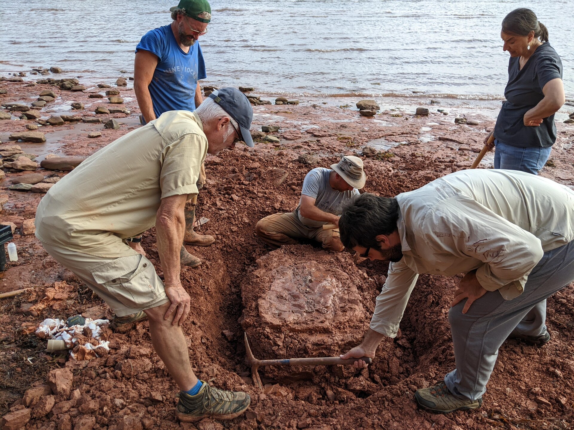 Il y a encore beaucoup de fossiles à découvrir dans les Maritimes, dit ...