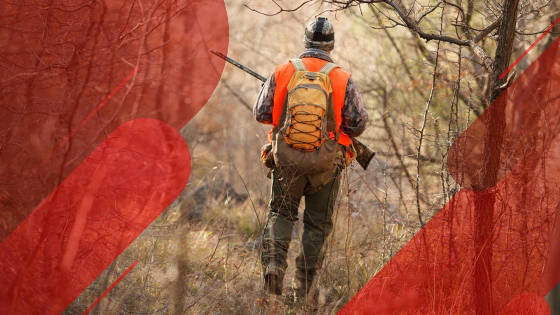 La chasse à l'orignal bat son plein au Bas-Saint-Laurent | Info | ICI ...