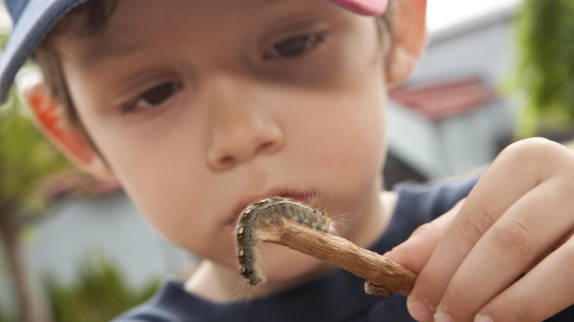 Passer du temps avec les insectes du jardin