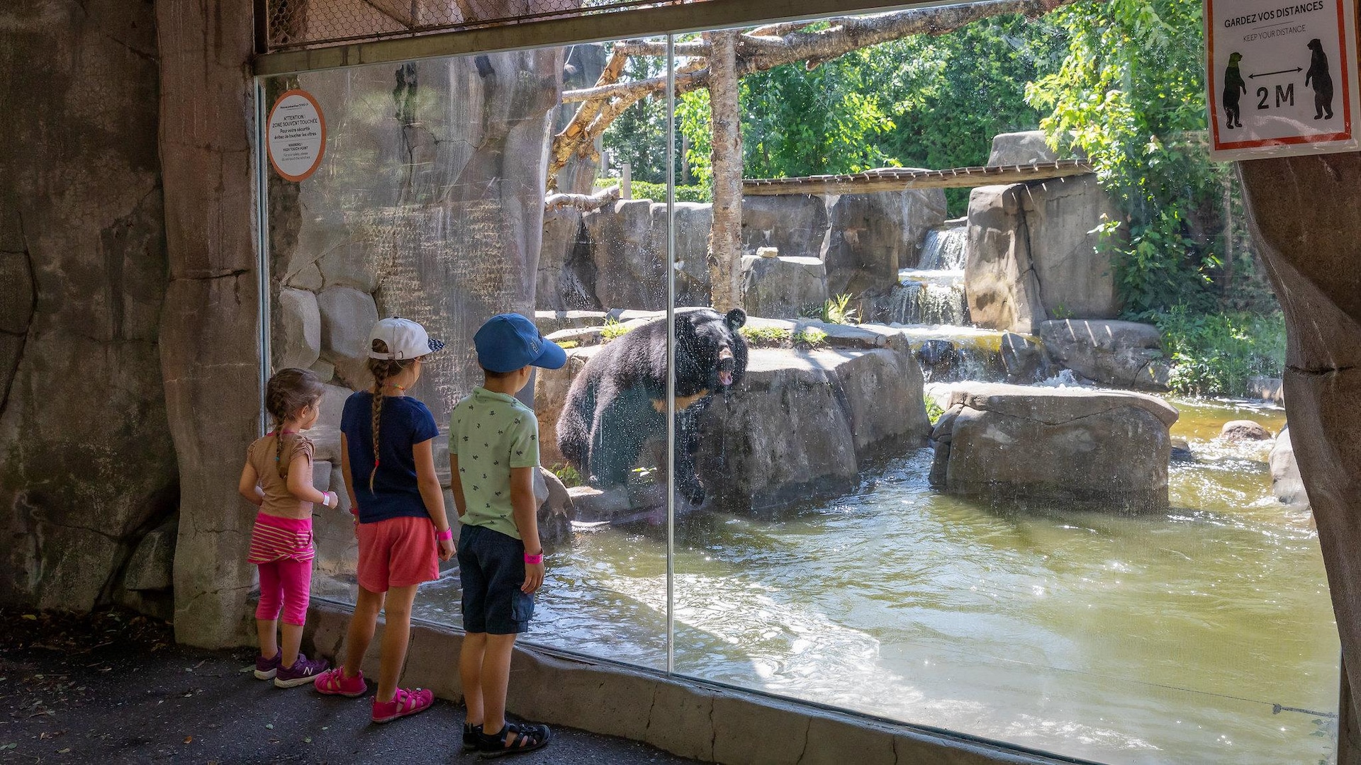 Le nouveau spectacle de la Zone Jeunesse de Radio-Canada au Zoo de Granby
