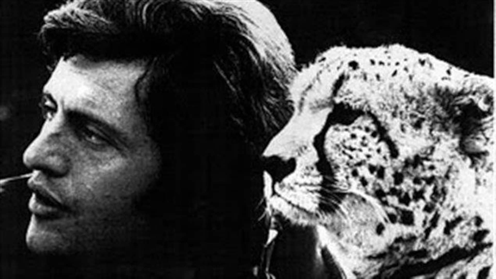 Hommage à Joe Dassin à la Maison de la Culture de la Mauricie | Info ...