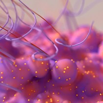 Un vaccin ARN messager contre le cancer… une réalité d’ici 2030 ...