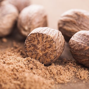 Terrine de doré | Mordu