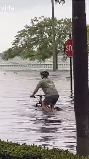 Idalia, un ouragan dévastateur en Floride | Brève | Radio-Canada