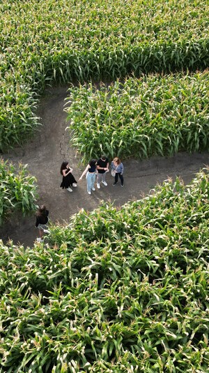 Nouvelles de la Saskatchewan, météo | Radio-Canada