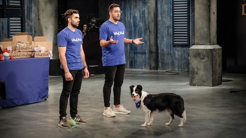 Entreprises | Dans l'oeil du dragon | ICI Télé