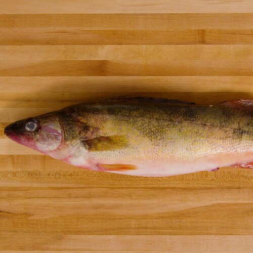 Comment réussir ses crêpes et ses pancakes | Mordu