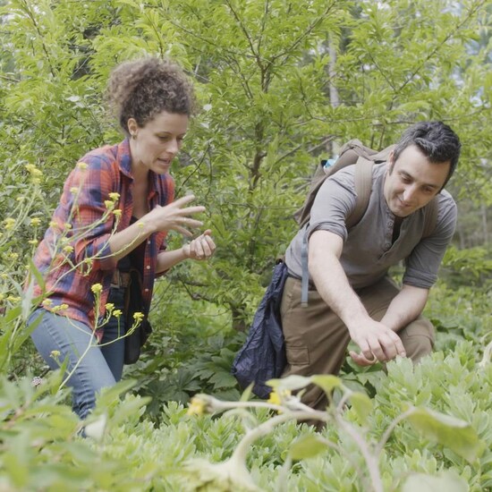 Actualités, Webséries et Bonnes Adresses | Mordu