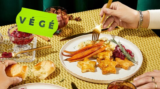 Protéine végétale texturée (PVT) | Mordu