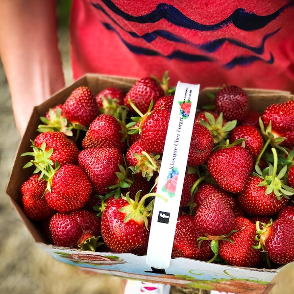 Cuisiner : Idées Simples, Savoureuses et Santé | Savourer x Mordu