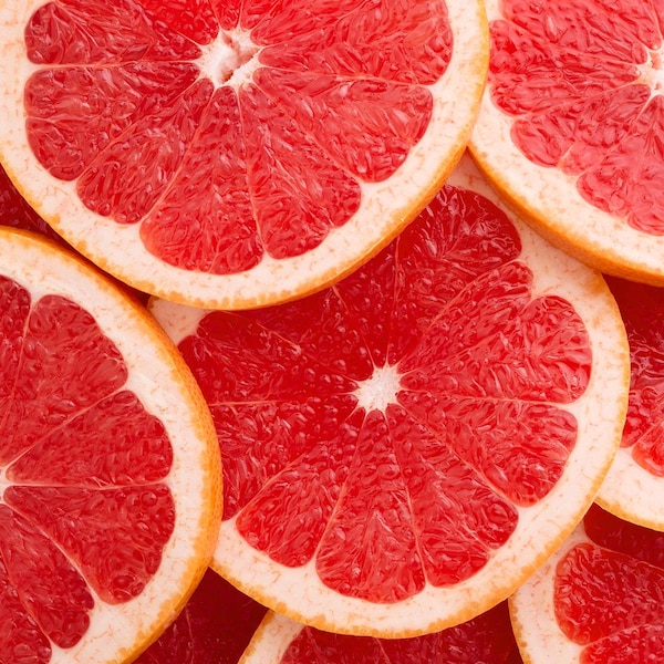 Pamplemousse | Mordu