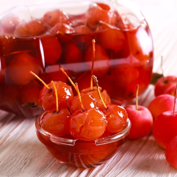 Recettes Végétaliennes Savoureuses | Mordu