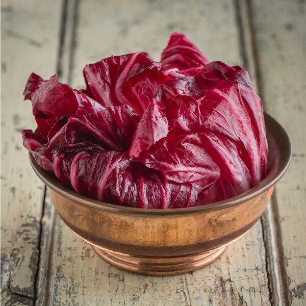 Les Meilleures Recettes de Conserves | Mordu