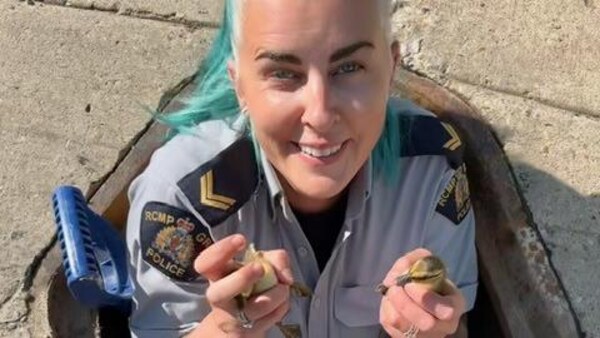 En continu | Justice et faits divers | Radio-Canada | Page 464