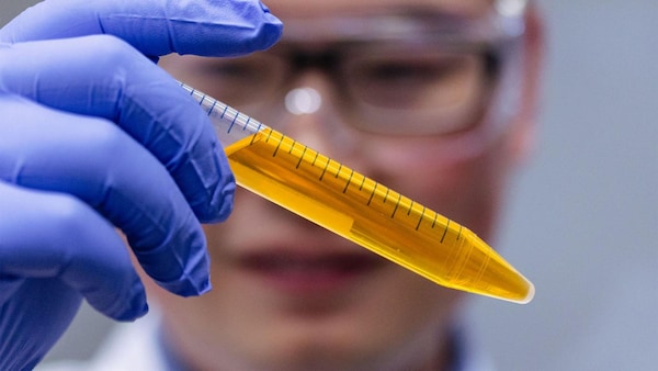 Science et actualité scientifique | Info | Radio-Canada