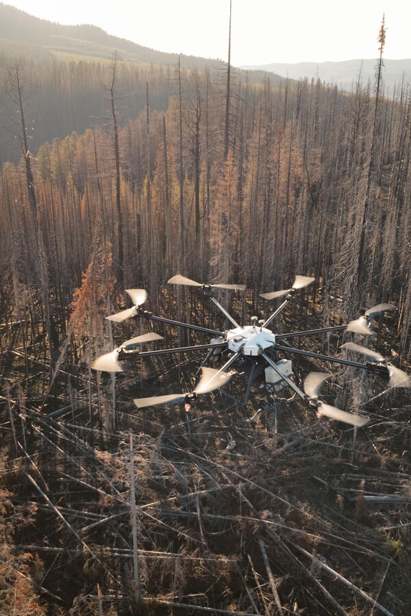 Des drones en renfort pour reboiser une forêt brûlée du Québec | Radio ...
