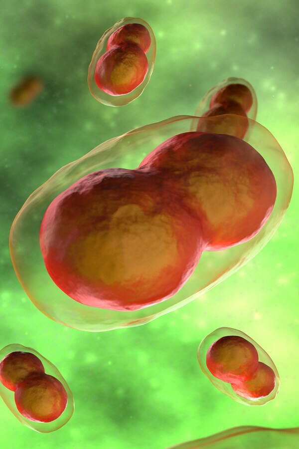 Le vaccin qui a éradiqué la variole après des siècles de lutte