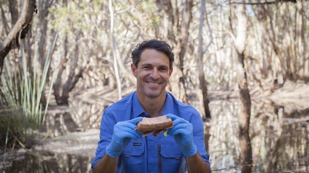 Un index de « jouabilité » au Canada, et le microbiote de l’écorce ...