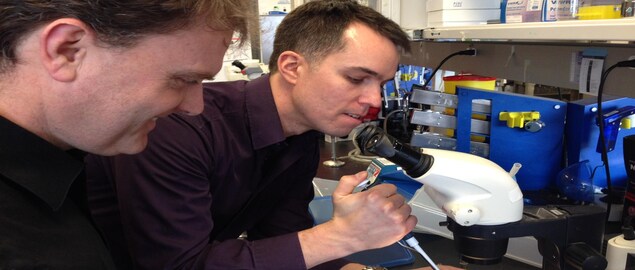 Des scientifiques à la recherche de fonds fédéraux | Radio-Canada