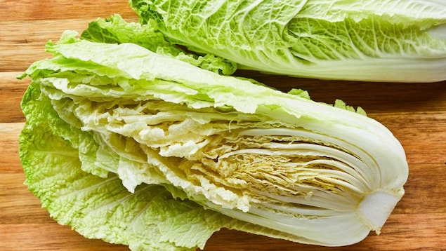 Chou nappa | Savourer x Mordu