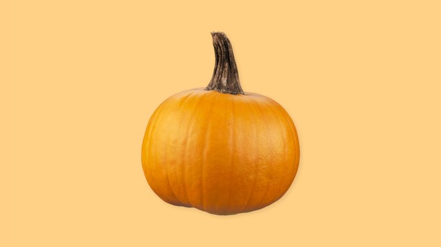 Potage à la citrouille | Mordu