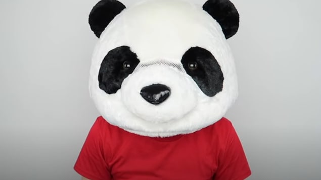 Il perd du poids en secret : ce youtubeur nous a tous bien eus | Brève ...