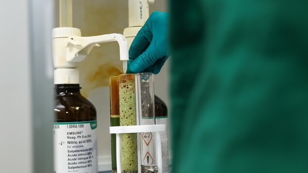 Canada idadagdag ang karamihan sa ‘forever chemicals’ sa toxic ...
