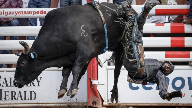 Le Stampede bat son plein à Calgary | Brève | Radio-Canada