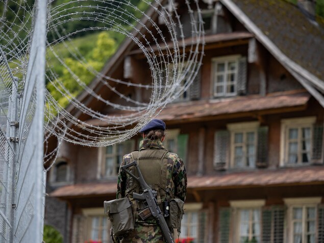 Un sommet pour la paix en Ukraine, mais sans la Russie | En bref ...