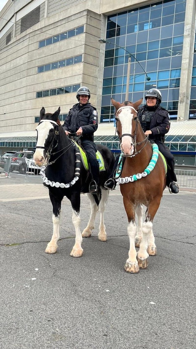 La swiftmanie s’empare de Toronto | Brève | Radio-Canada