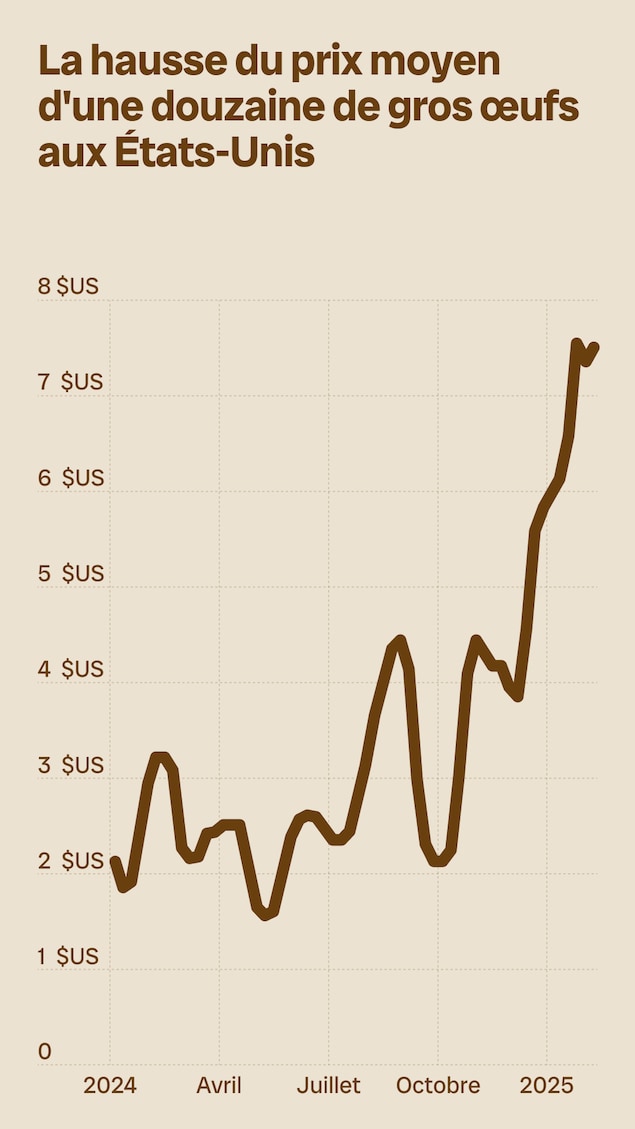 Pourquoi le prix des œufs explose aux É.-U. (et à quoi s’attendre ici ...