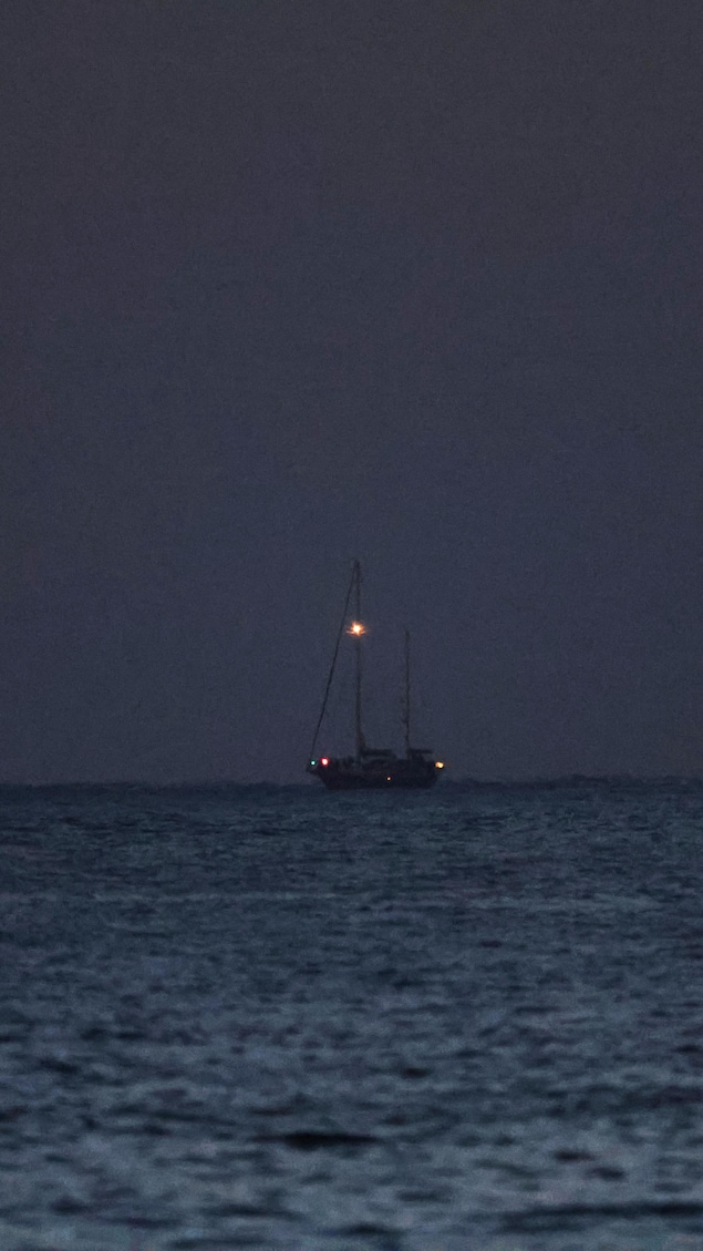 En bref, l’actualité simple et rapide | Info | Radio-Canada