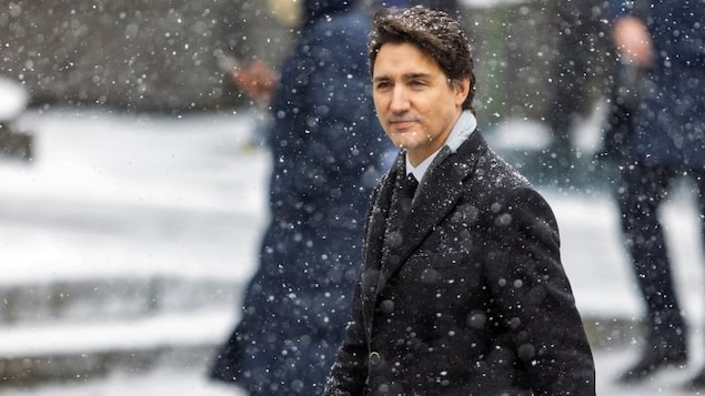Trudeau to announce he’s stepping down as Liberal leader: sources ...