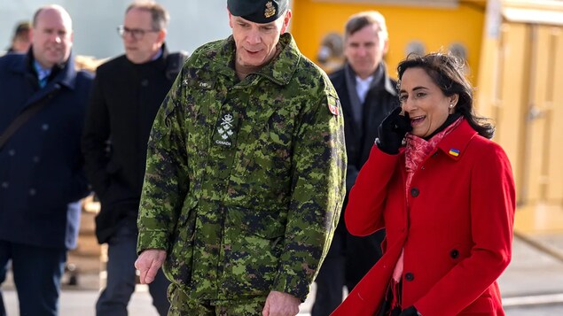 Anand defends hesitation to further invest in defence as NATO secretary ...