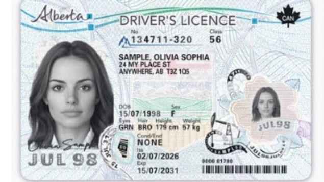 Alberta introducing integrated driver licences with health card number ...