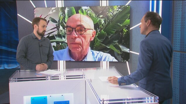 La semaine du 12 février vue par nos analystes | Radio-Canada