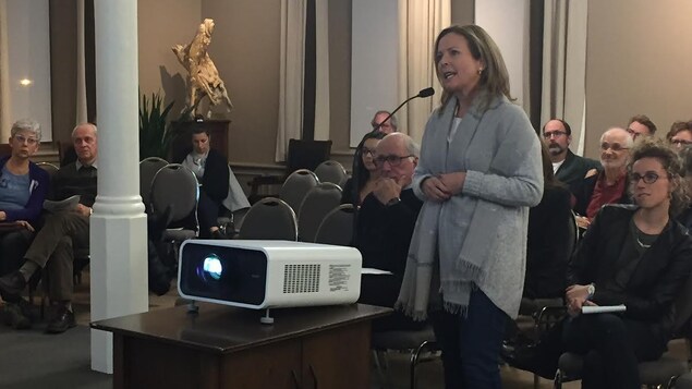 Anne Guérette s'oppose farouchement à un projet immobilier dans le ...