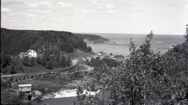 Forestville : 75 ans au cœur de la forêt | Radio-Canada