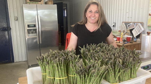 Des asperges de grande qualité vendues au plus offrant | Radio-Canada