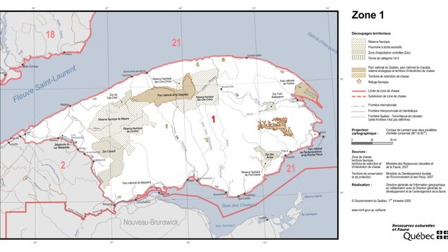 Ouverture de la chasse à l’orignal à l'arc et l'arbalète dans la zone 01 | ICI.Radio-Canada.ca