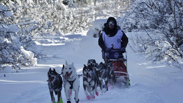 Une première course de chiens de traîneau dans la vallée de la ...