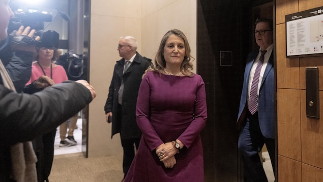 Trudeau faces frustrated MPs after Chrystia Freeland’s shock ...