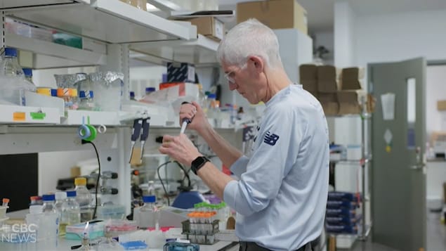 Canadian na siyentipiko nais lutasin ang hadlang sa deep space ...