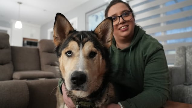 B.C. woman urges dog owners to watch their pets on walks after husky ...