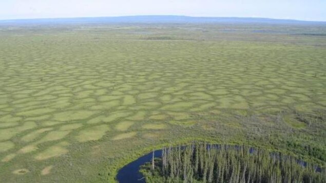 Une première zone protégée autochtone au Canada | Radio-Canada.ca