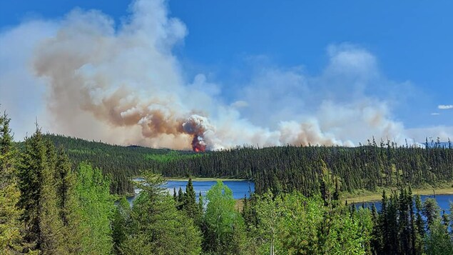 Bilan positif en matière de feux de forêt au Saguenay-Lac-Saint-Jean ...