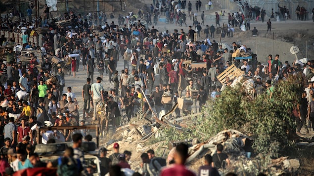 Le système « militarisé » de distribution d’aide à Gaza « tue des gens ...