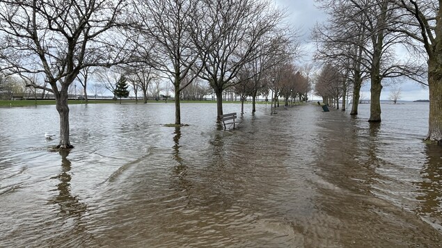 Avertissement d’inondations dans la grande région d’Ottawa | Radio-Canada