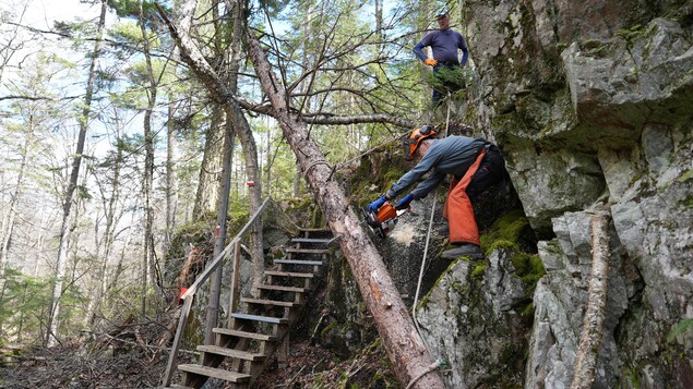 Une implication depuis 20 ans pour la nature en Mauricie | Radio-Canada