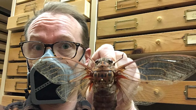 La collection d’insectes de l’Université du Manitoba comme outil pour ...